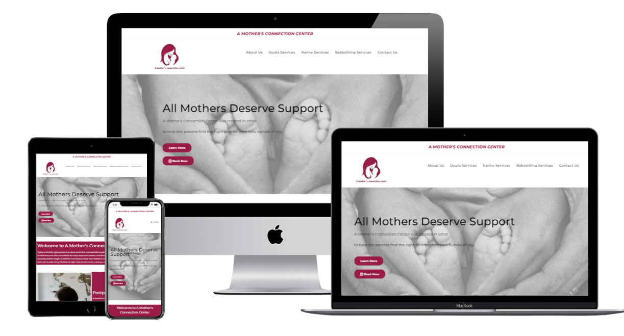 Website Design Portfolio - Success Tech Services